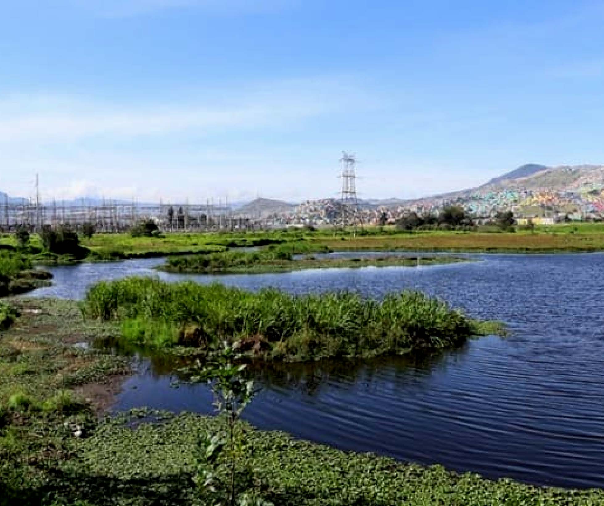 BOLETIN -46 | Ecolcin S.A.S.