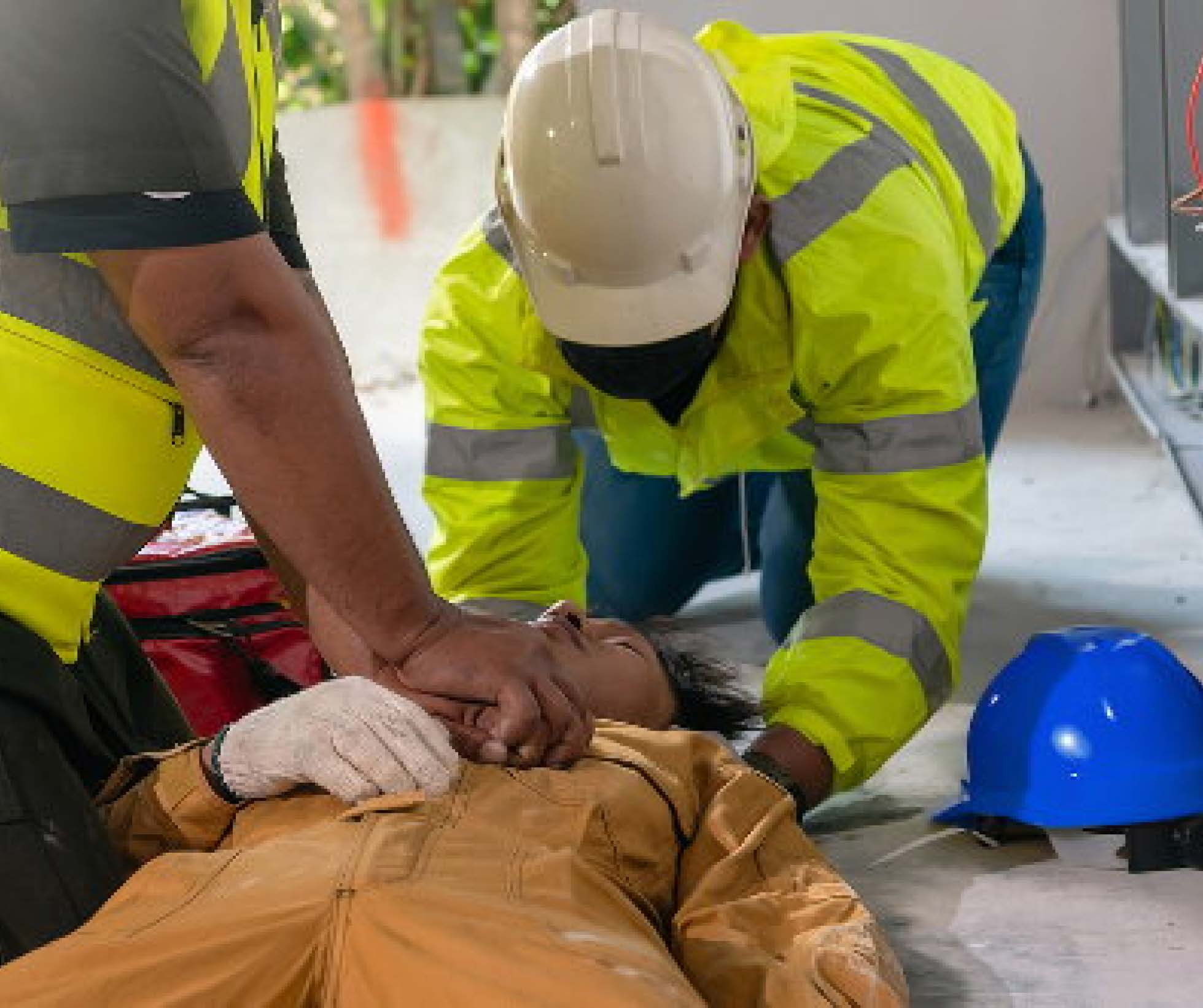 Boletín No. 54 | Ecolcin S.A.S.