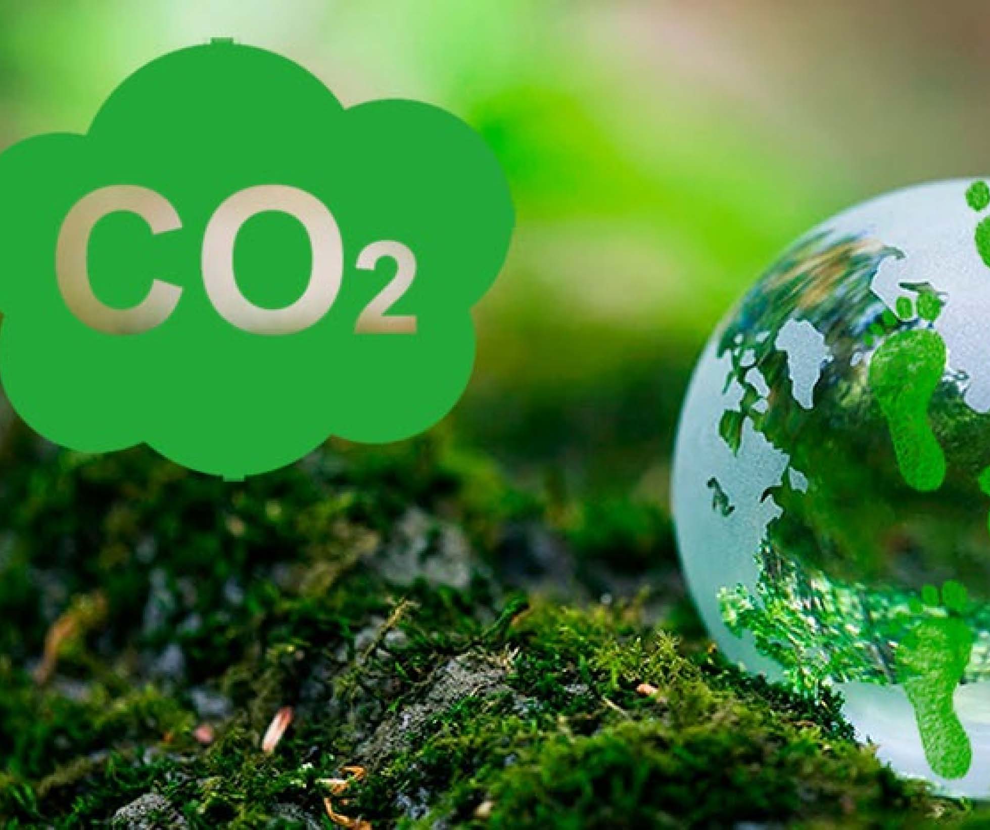 Boletines | Ecolcin S.A.S.