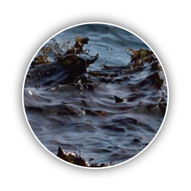 Ecolcin S.A.S. Empresa Colombiana de Combustibles Industriales